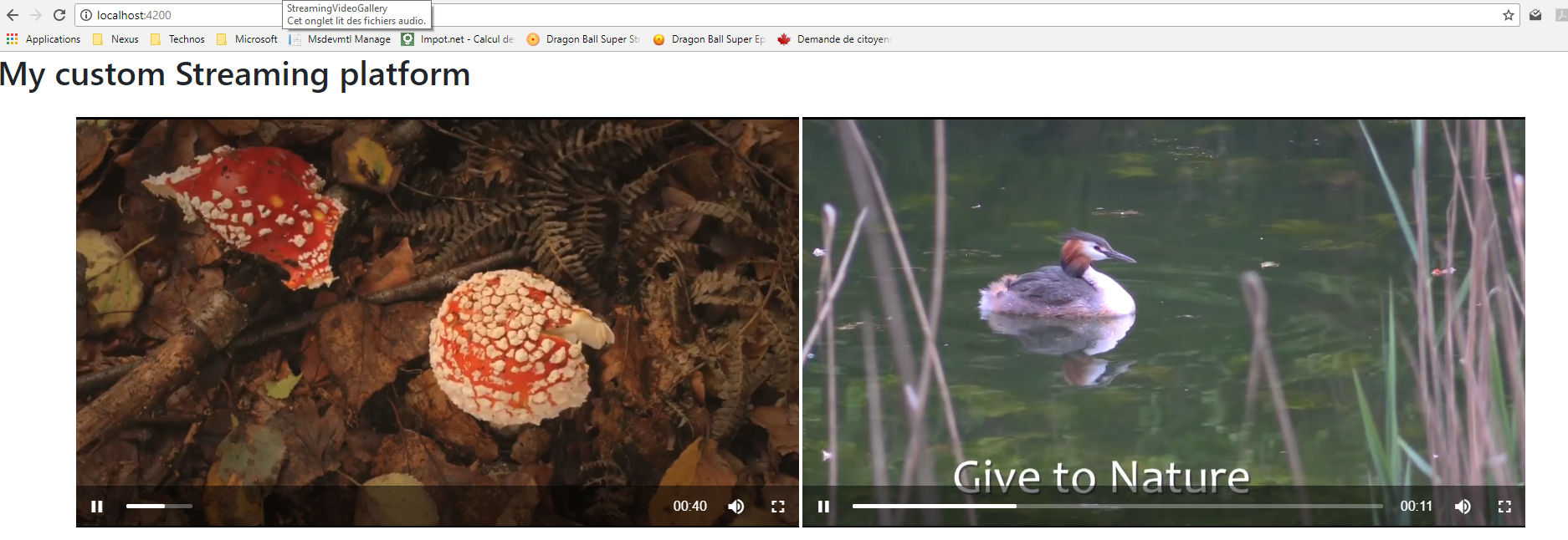 GitHub - AnthonyGiretti/Angular5-videogular-videostreaming-webapi: Example of a streaming ...